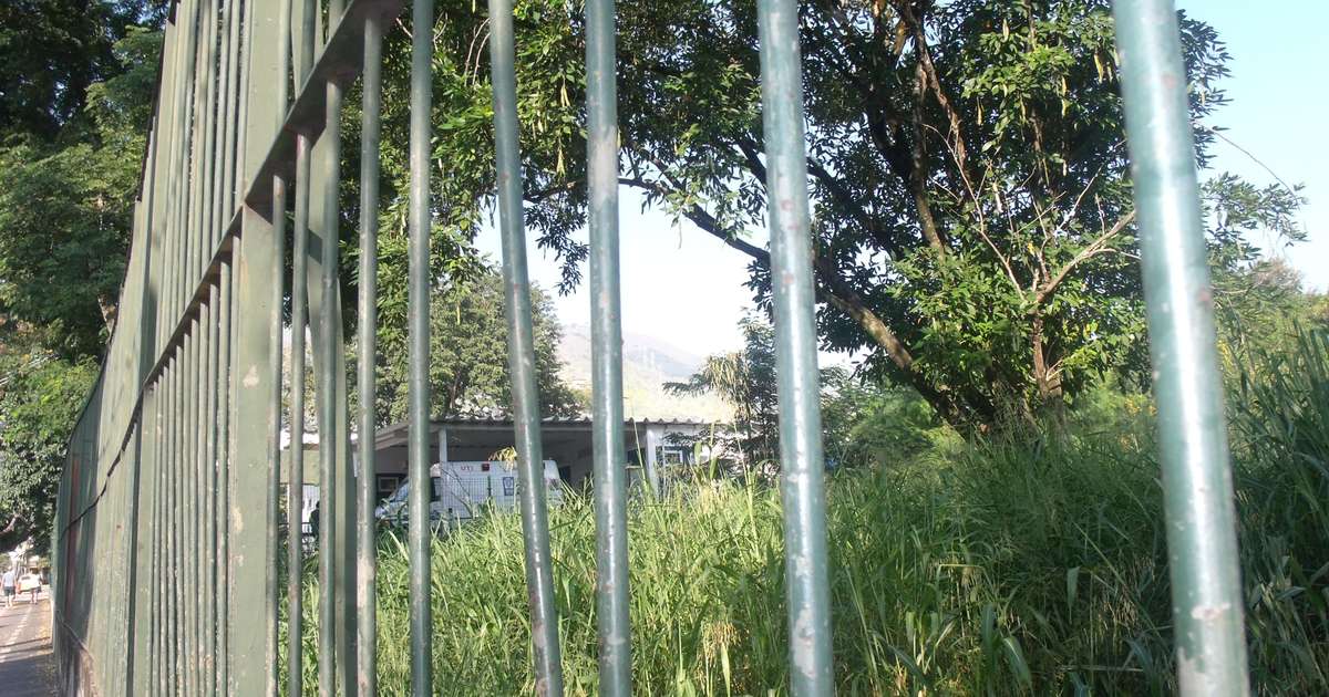 vc repórter: terreno ao lado de UPA tem matagal na zona norte do Rio