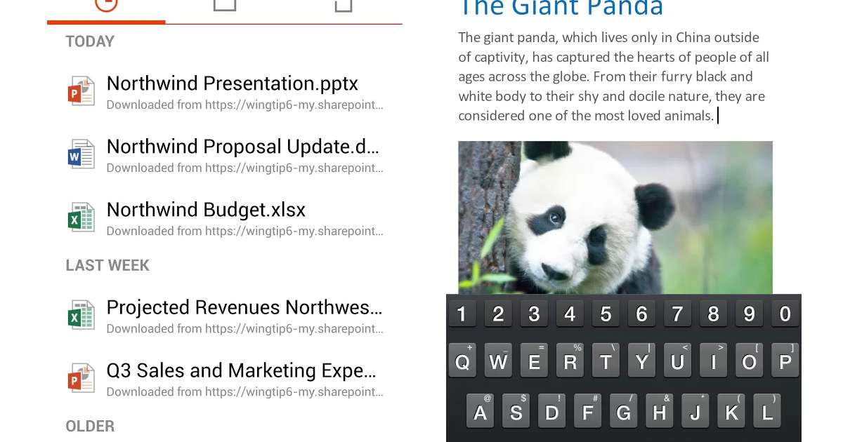 Microsoft lança app gratuito do Office 365 para Android