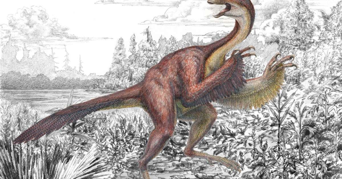 EUA: cientistas identificam dinossauro "Frango do Inferno"