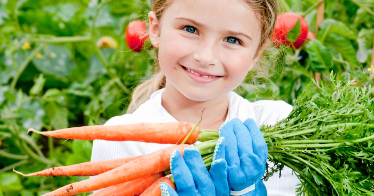 Cultivar uma hortinha pode fazer seu filho a comer melhor