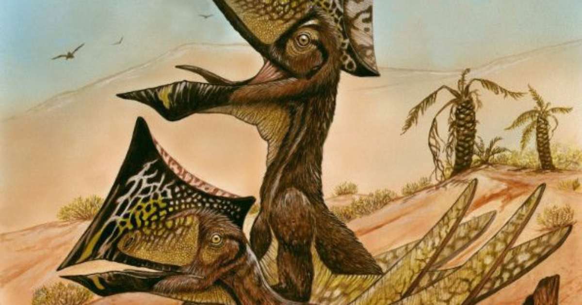 PR: fósseis de nova espécie de pterossauro são encontrados