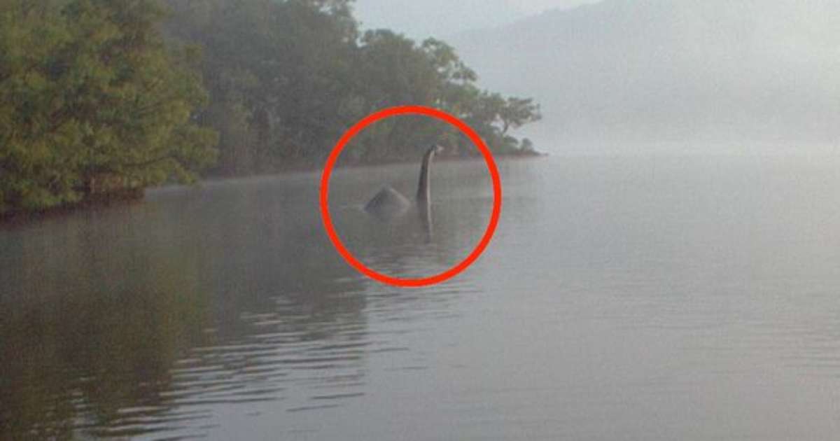 Suposto monstro do lago Ness é fotografado por britânica