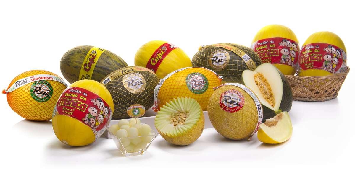 Fruta do rei: empresa do Ceará inova ao criar melão de marca