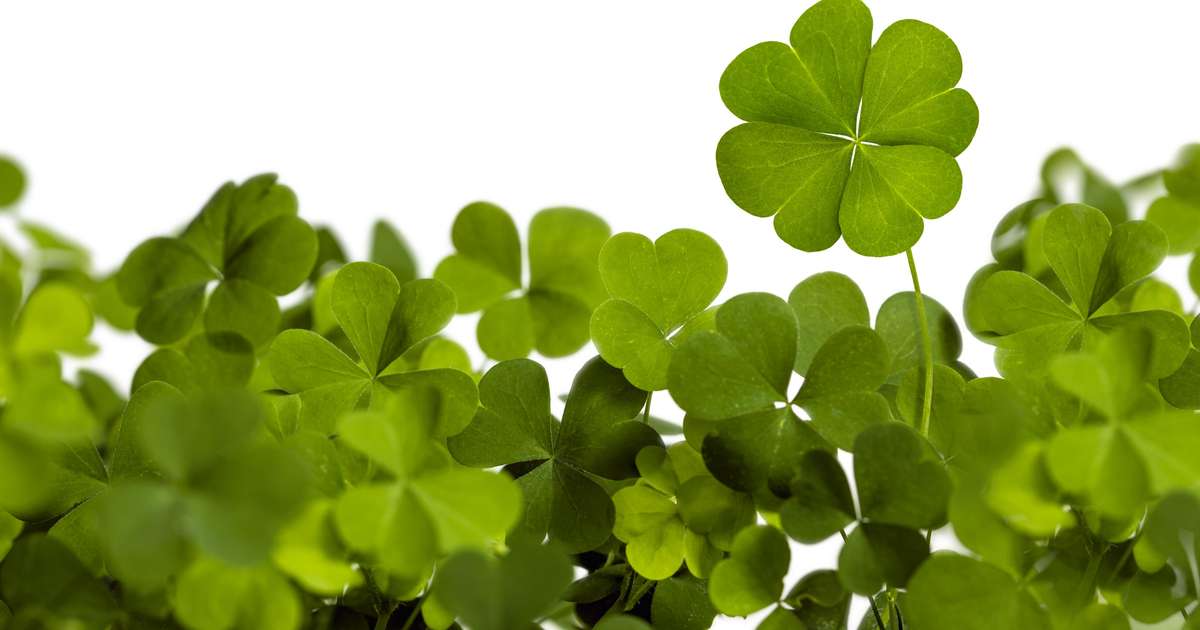 Simpatias: veja como atrair sorte no amor e na profissão