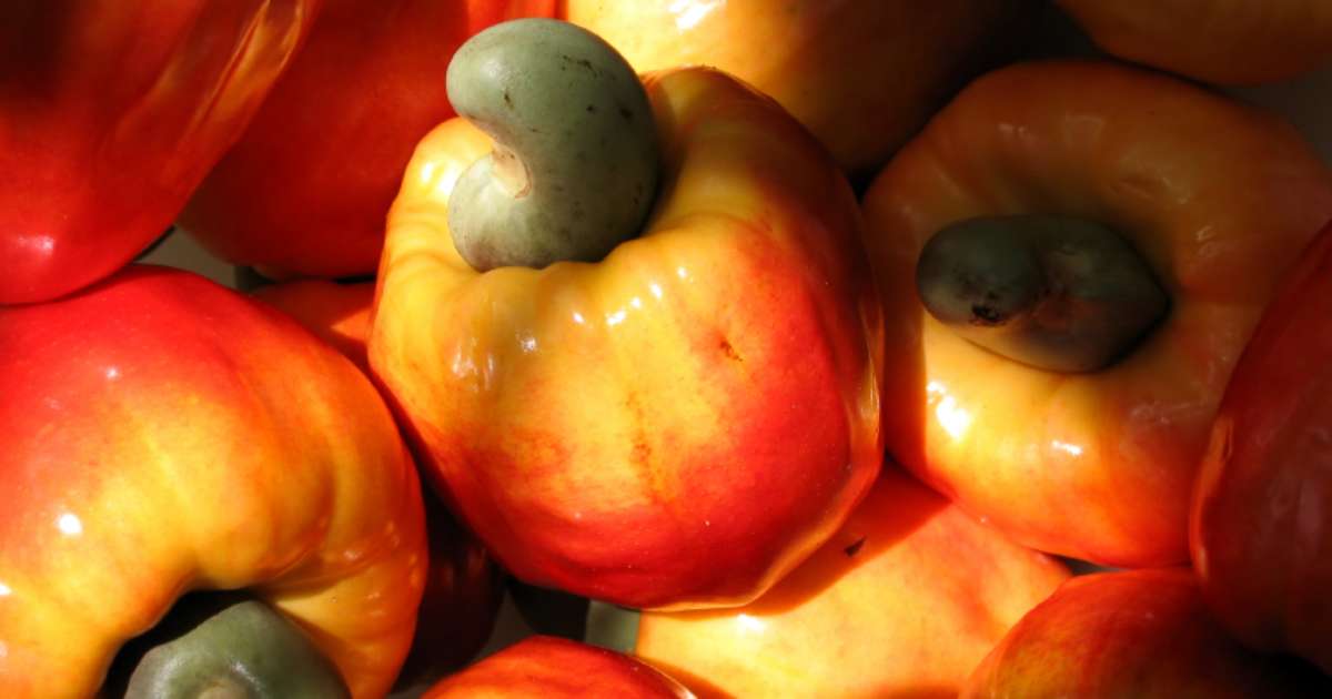 Aproveite os benefícios do caju em 2 receitas