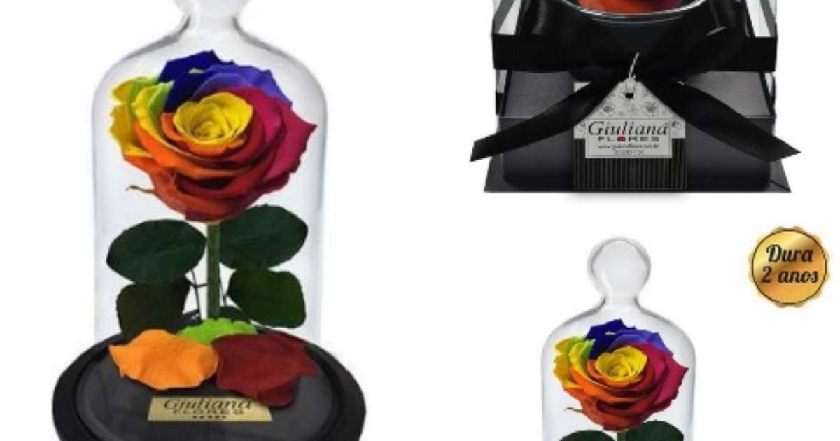 Rosa Encantada: Giuliana Flores lança flor com as cores do arco-íris
