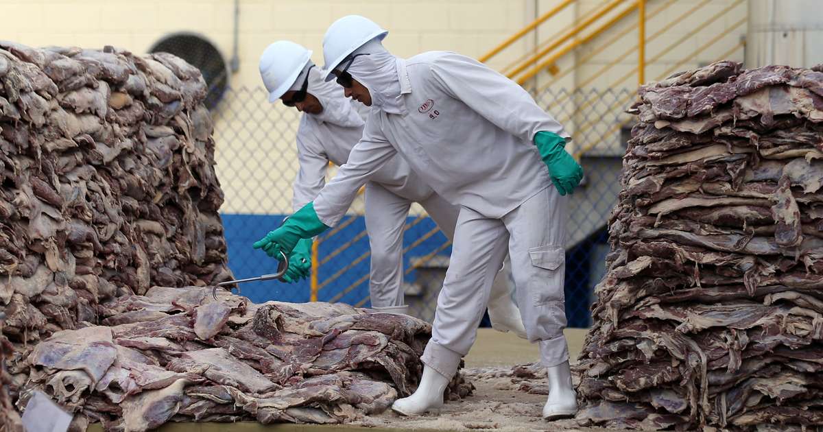 Brasil pode avançar em carne kosher, mas novas normas exigem atenção ...