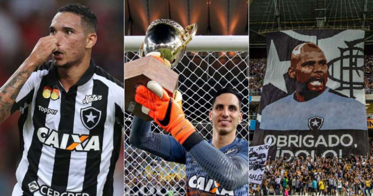 Veja como foi o ano do Botafogo em dez imagens