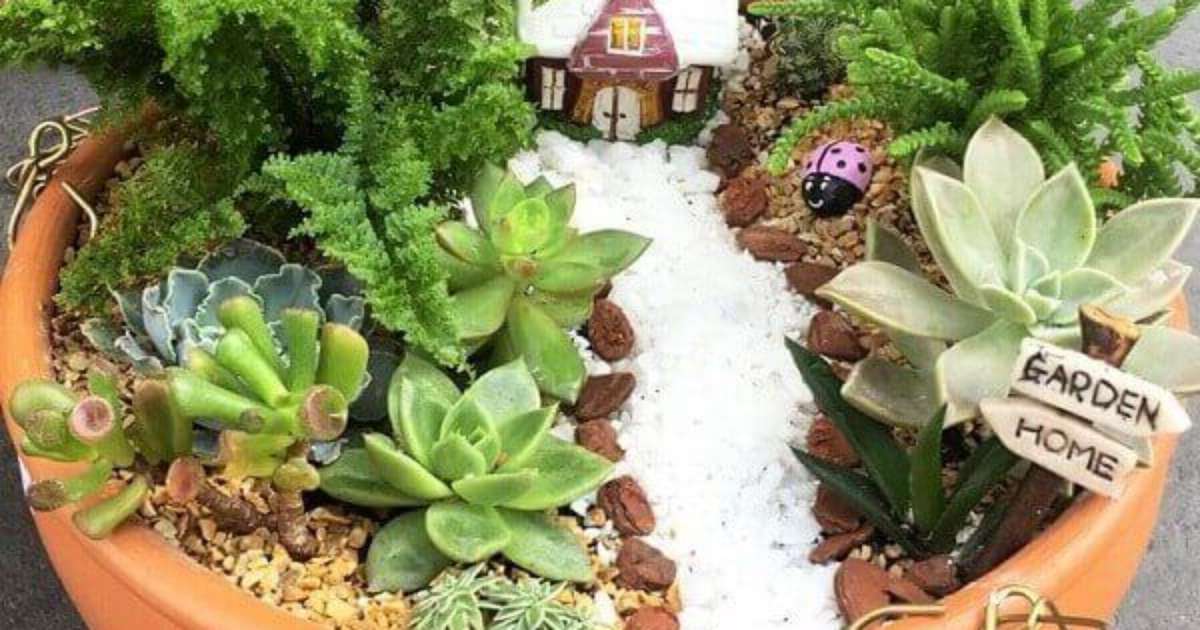 Mini Jardim: +50 Modelos Criativos de Terrários para Você se Inspirar