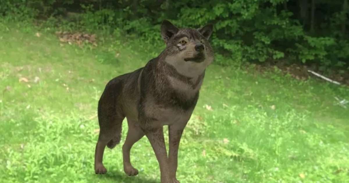 Google agora coloca animais em 3D na vida real com Realidade Aumentada