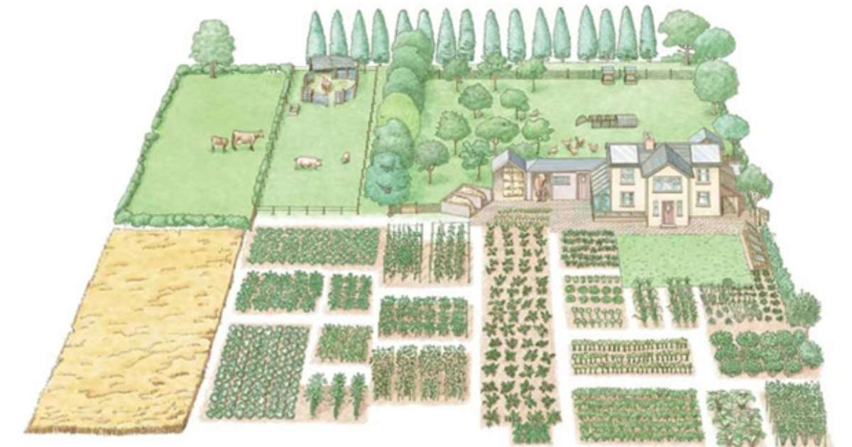 Planejamento e Manejo sustentável na propriedade rural