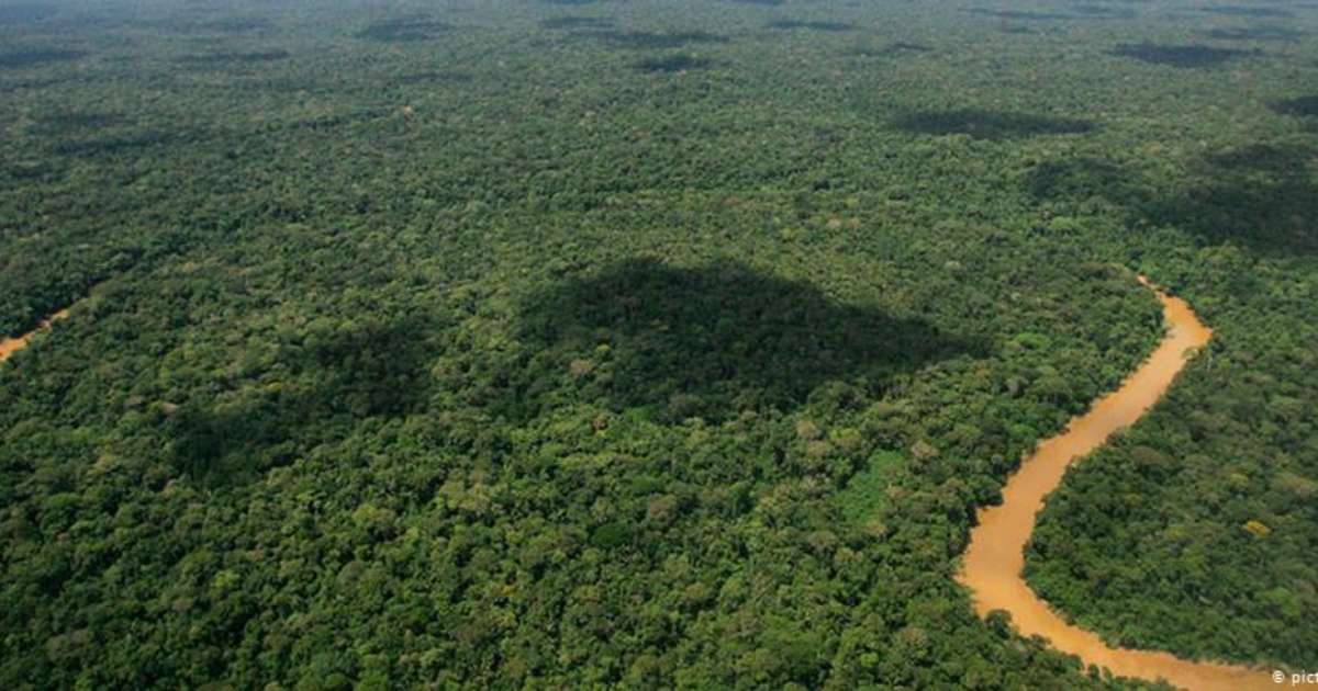 Internacionalização da Amazônia: entenda os limites do debate