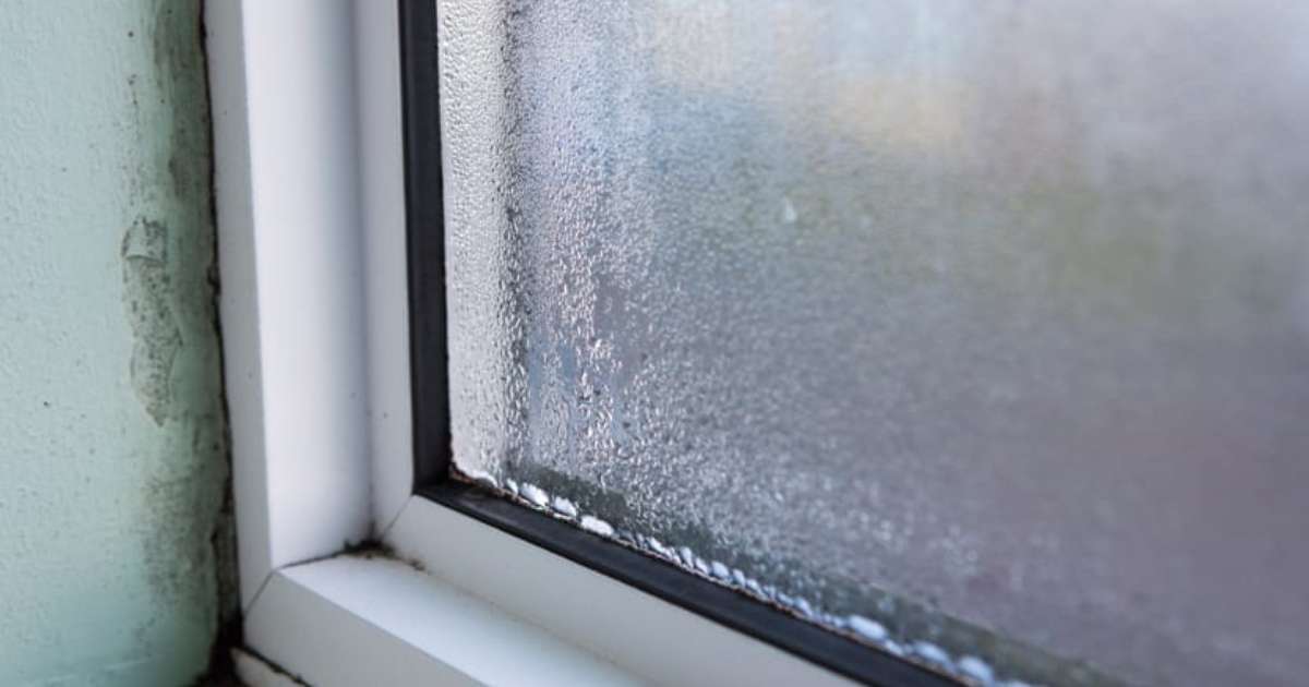 Choveu muito? Veja 10 dicas para cuidar da umidade em casa