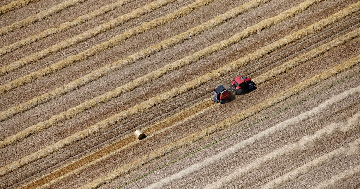 Economia da França encolhe 13,8% no 2º tri