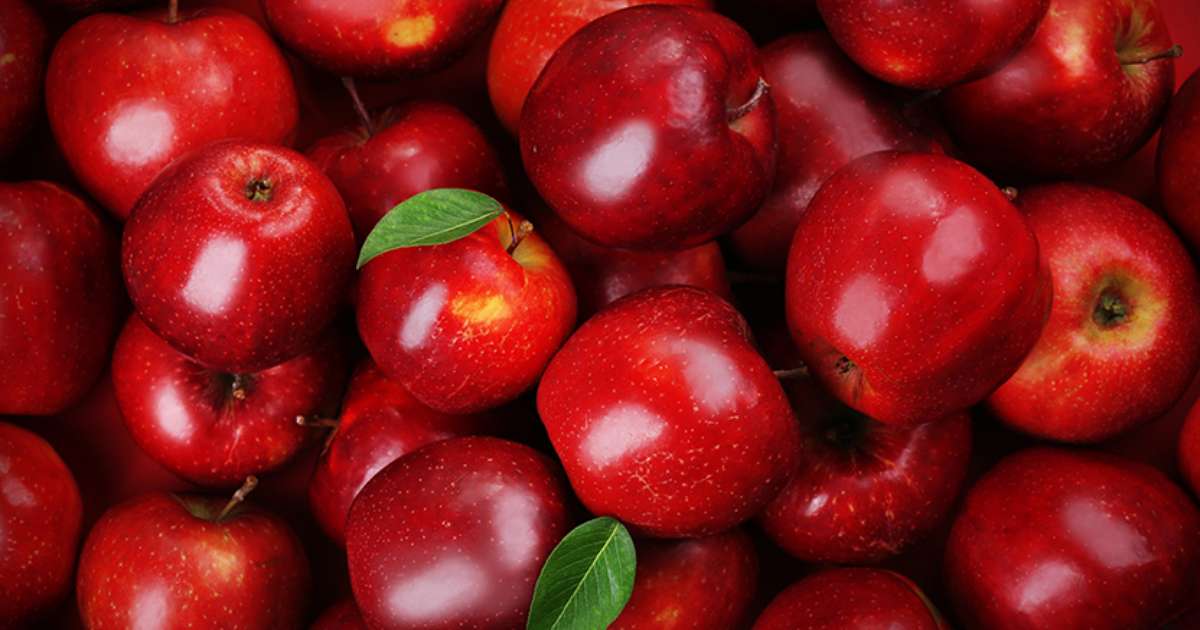 Benefícios da maçã: saiba mais sobre a fruta que combate doenças