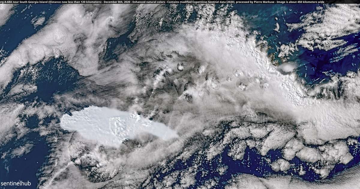 Iceberg gigante viaja 42 meses em direção a ilha rica em vida selvagem