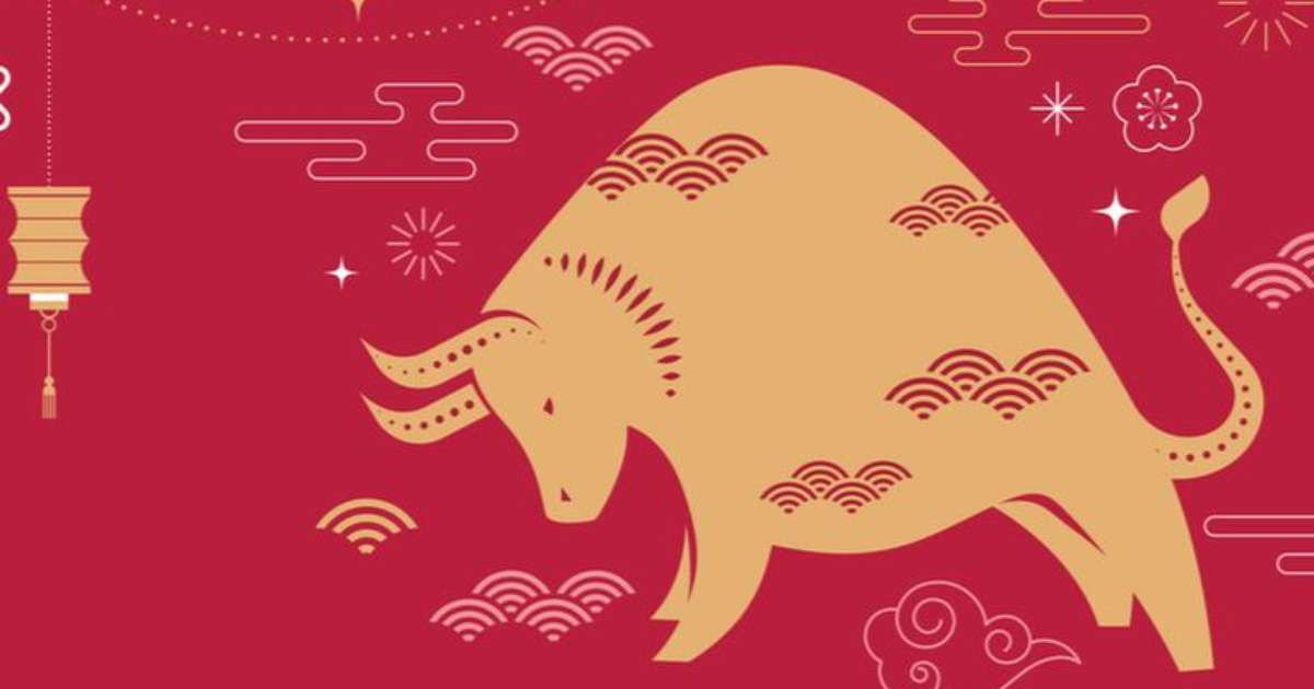 Feliz Ano Novo Chinês: Veja mais sobre o ano do Boi!