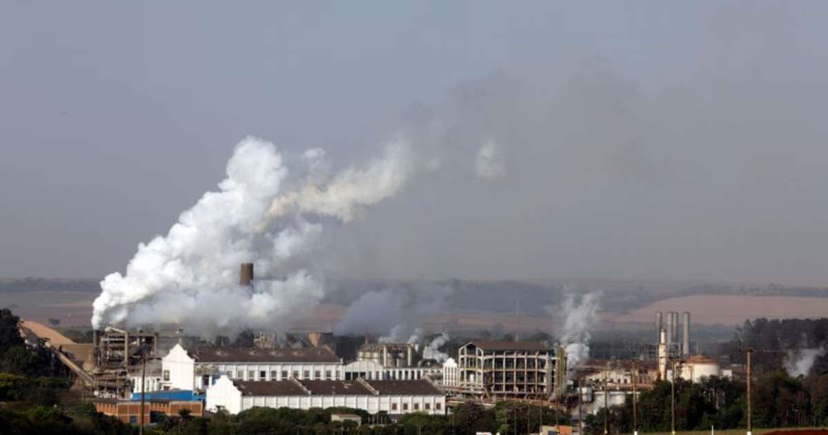Copersucar conclui compra de ativos da Alvean; consolida liderança ...