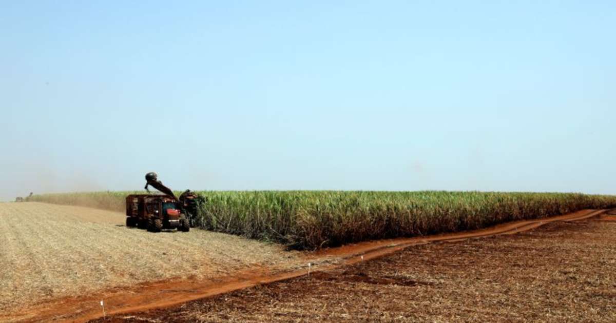 Raízen planeja levantar R$6,9 bi em IPO