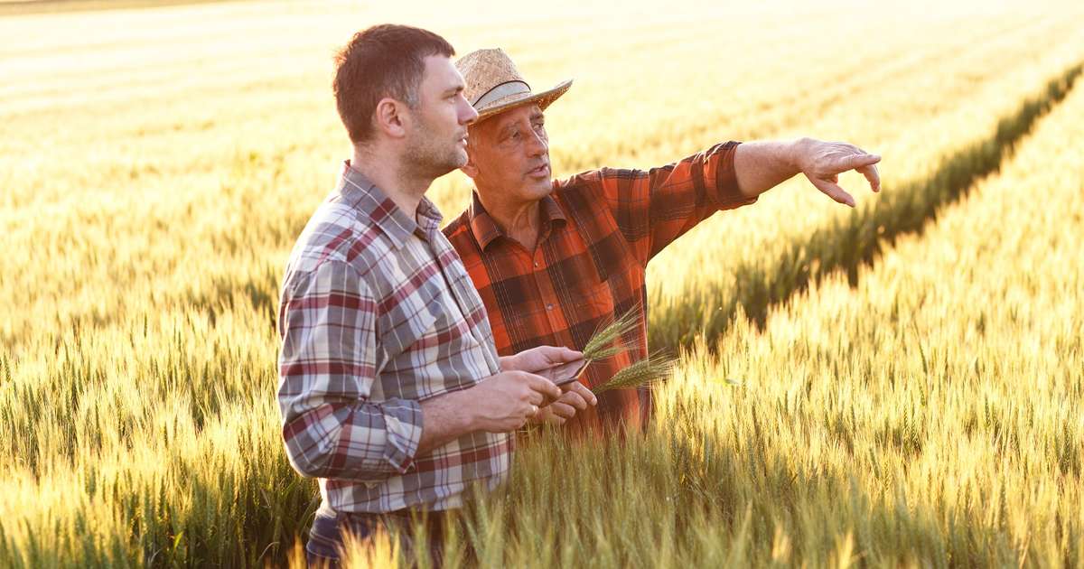 DITR 2021: confira os prazos e regras para a entrega da Declaração