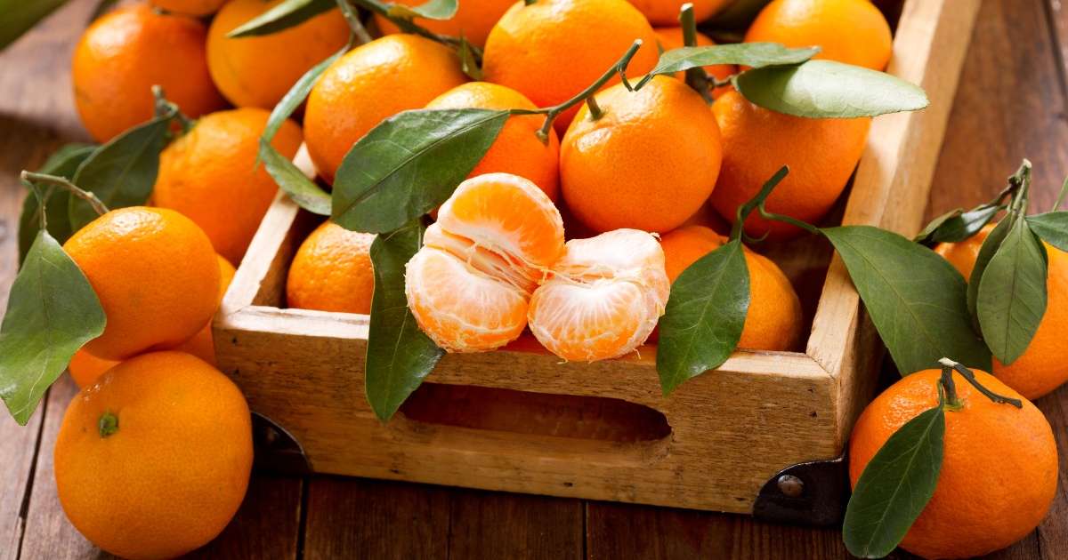 Tangerina pode ser combustível para a prática de esportes; conheça os ...