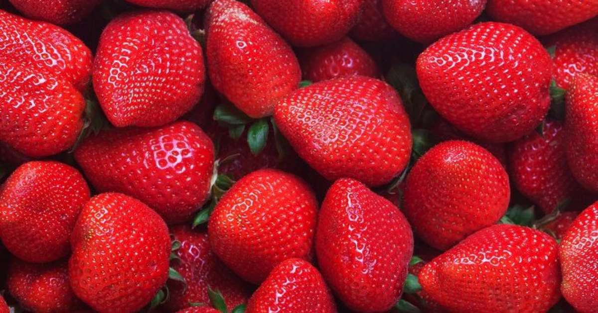 Comer 2 morangos por dia ajuda na saúde? Descubra os benefícios da fruta