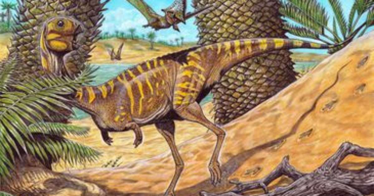 Museu Nacional anuncia descoberta de dinossauro banguelo