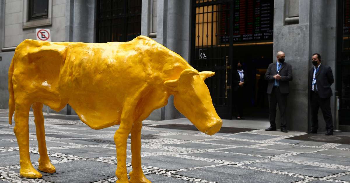 'Vaca magra' é instalada em frente à Bolsa de Valores, em SP