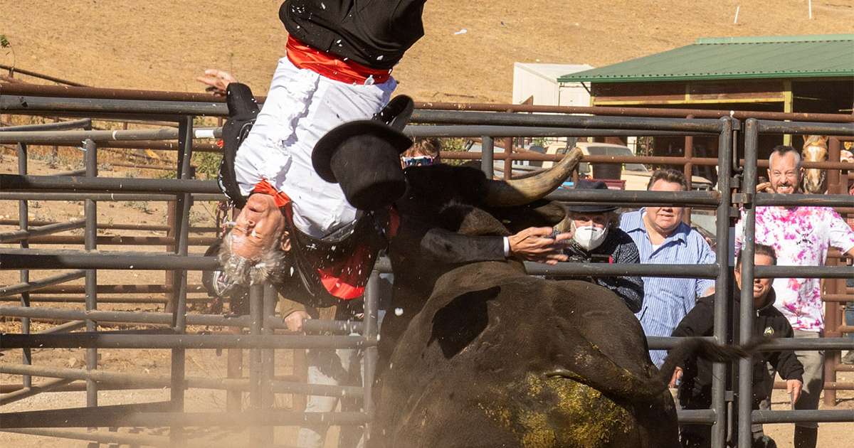 Elenco de "Jackass para Sempre" se arrebenta em novo trailer