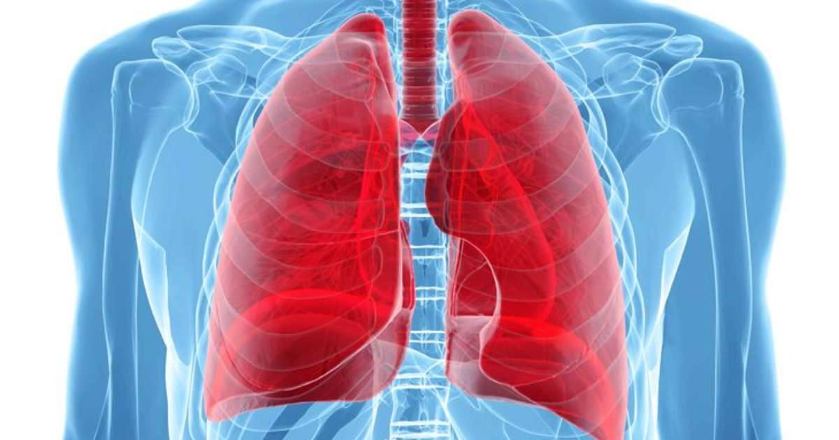 Você sabe respirar direito? Saiba como cuidar dos pulmões durante o treino