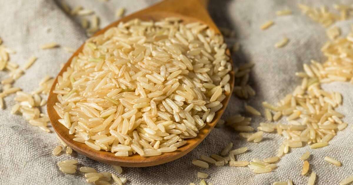 Arroz integral emagrece? 5 motivos para incluí-lo na dieta