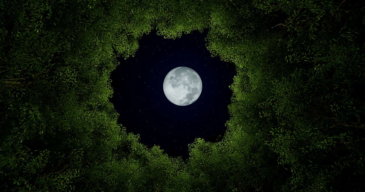 Utilize os poderes da Lua Cheia para melhorar a sua vida