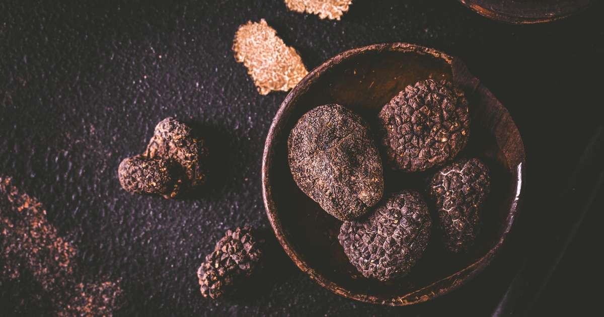 Trufa é coisa nossa: iguaria nacional ganha espaço nos menus