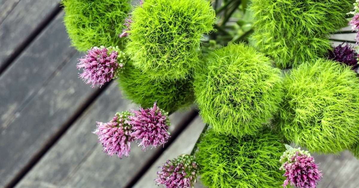 21 flores verdes para quem quer tudo combinando