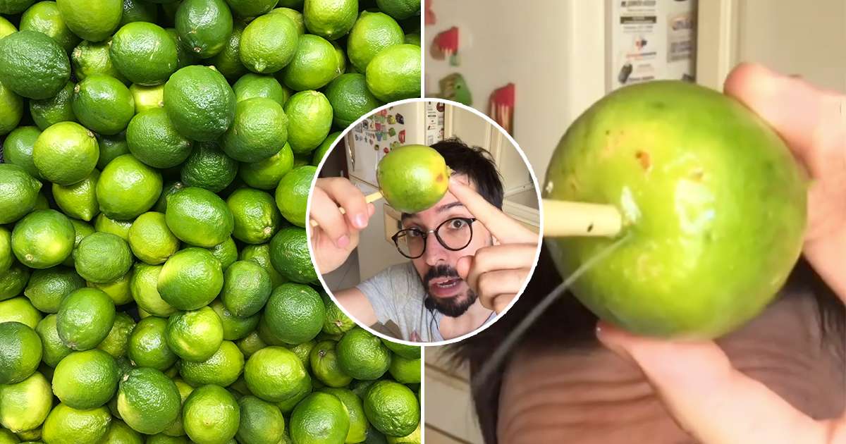 Como utilizar o Limão sem precisar abrir a fruta