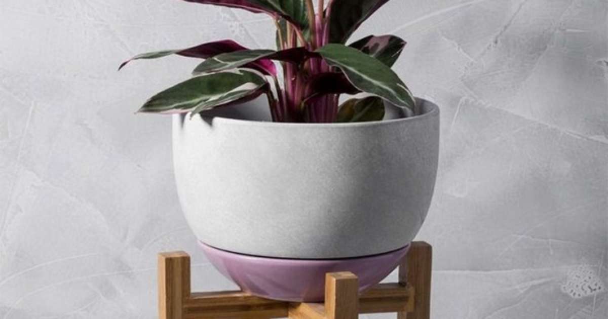 Cachepot Para Plantas: +60 Modelos Para Plantas Grandes e Pequenas