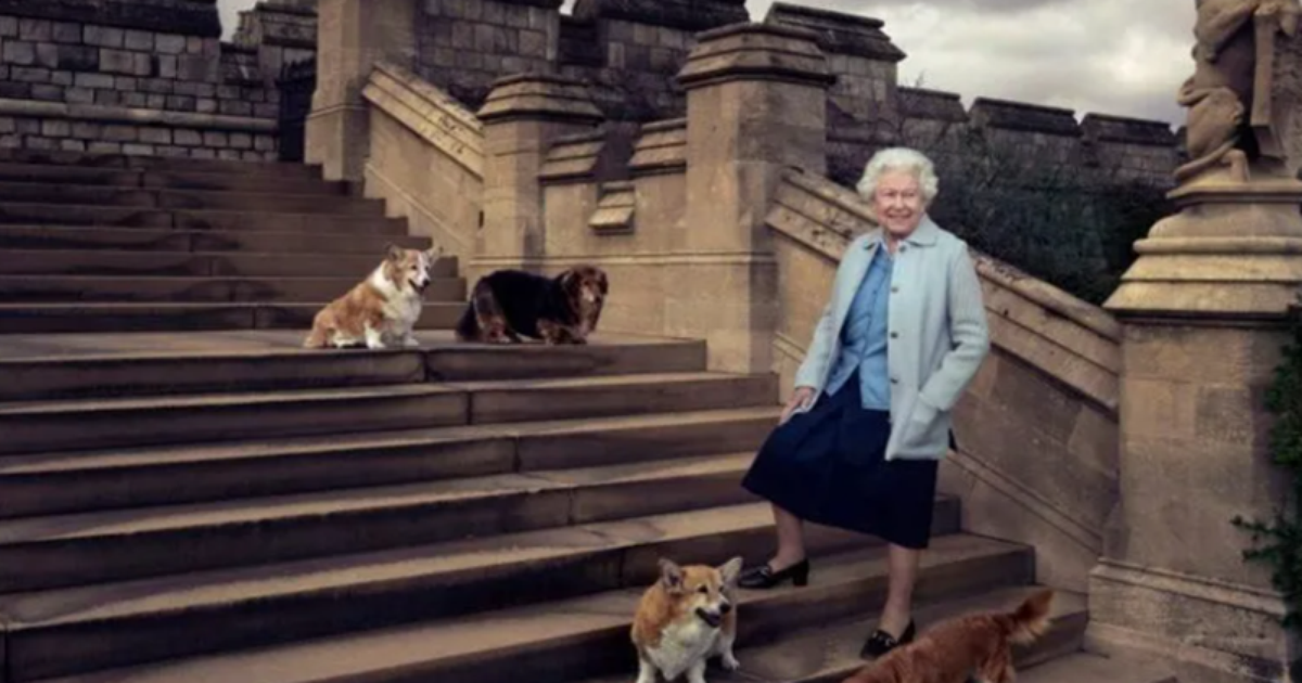 Com quem ficarão os cachorros da Rainha Elizabeth?