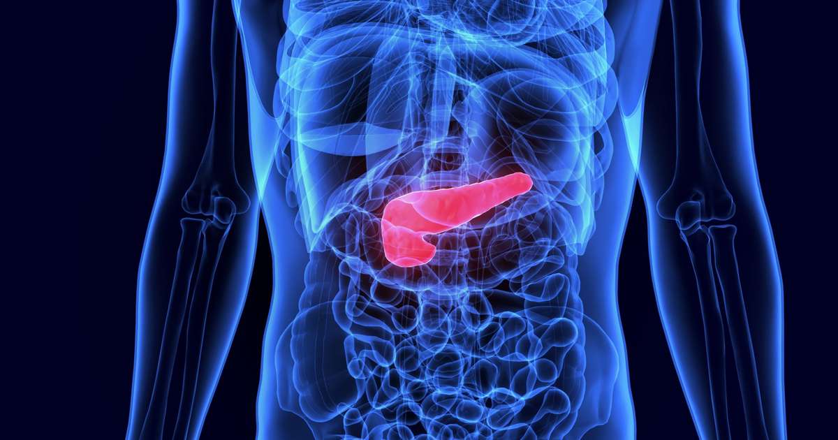 Conheça a função do pâncreas e as doenças que podem afetá-lo