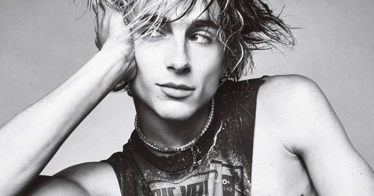 Timothée Chalamet revela conselho de Leonardo DiCaprio para não fazer filmes de herói