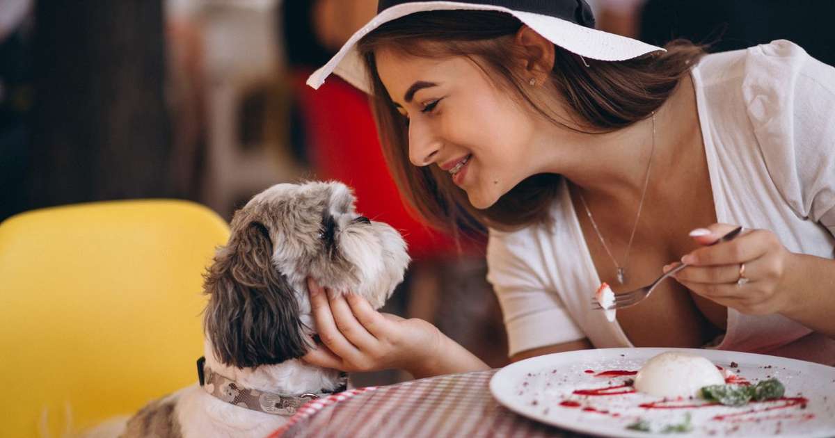 O que é pet friendly? Entenda o significado por trás desse termo