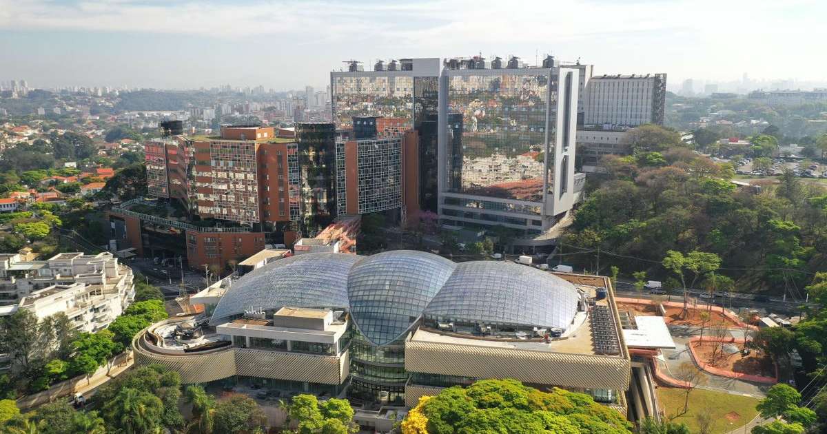 Conheça as graduações oferecidas pelo Ensino Einstein