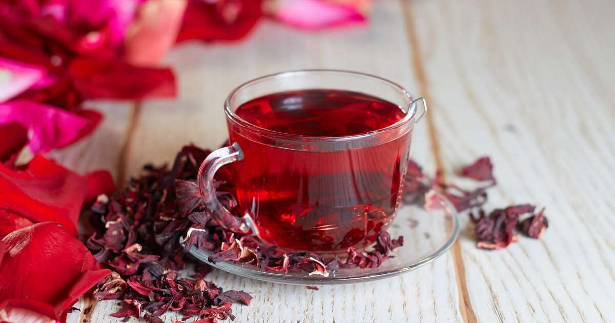 12 plantas medicinais para utilizar em chás