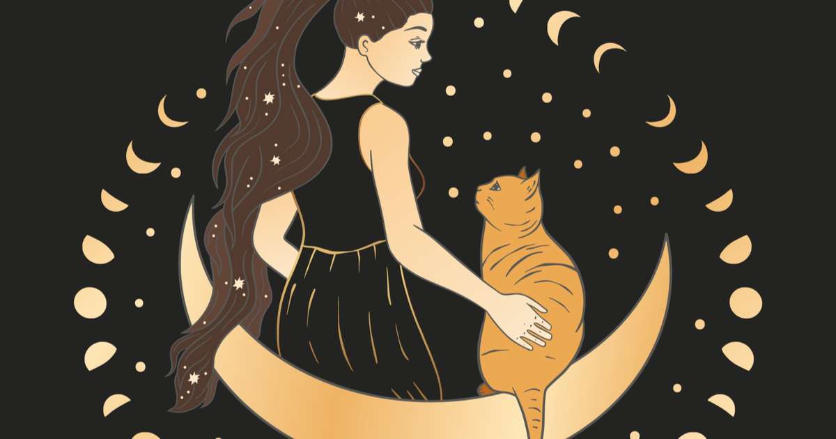 Conheça as características do gato de cada signo