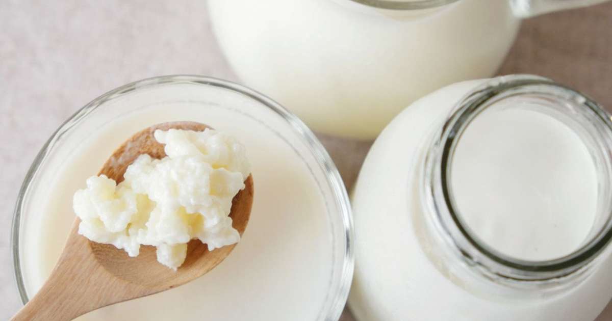 Você sabe o que é kefir? Saiba os benefícios e como consumir o probiótico