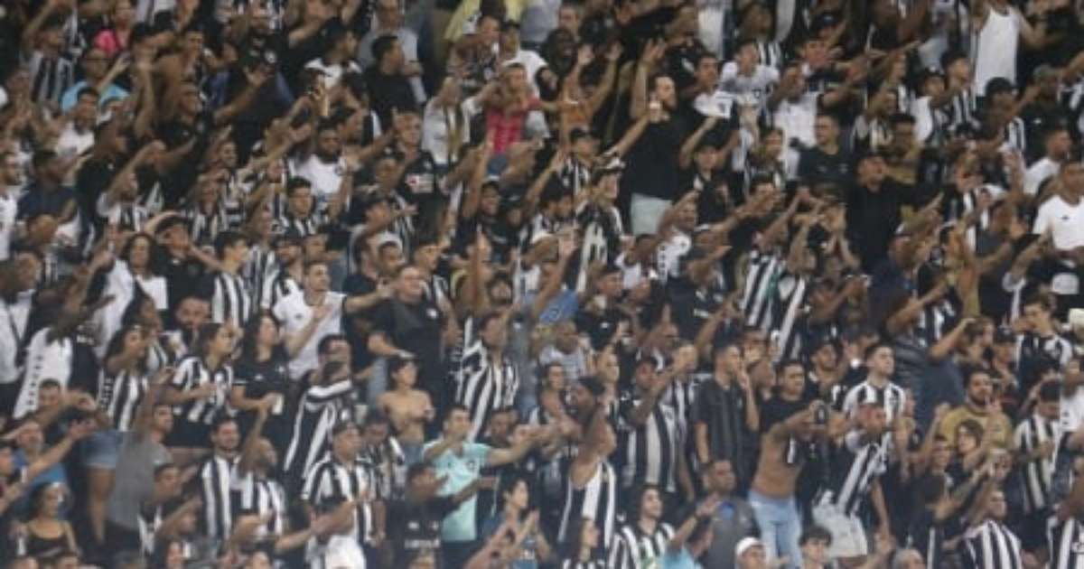 VÍdeo Torcida Do Botafogo Faz Linda Festa No Nilton Santos Durante