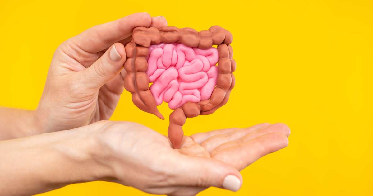 Diverticulite: conheça os sintomas e as formas de tratamento