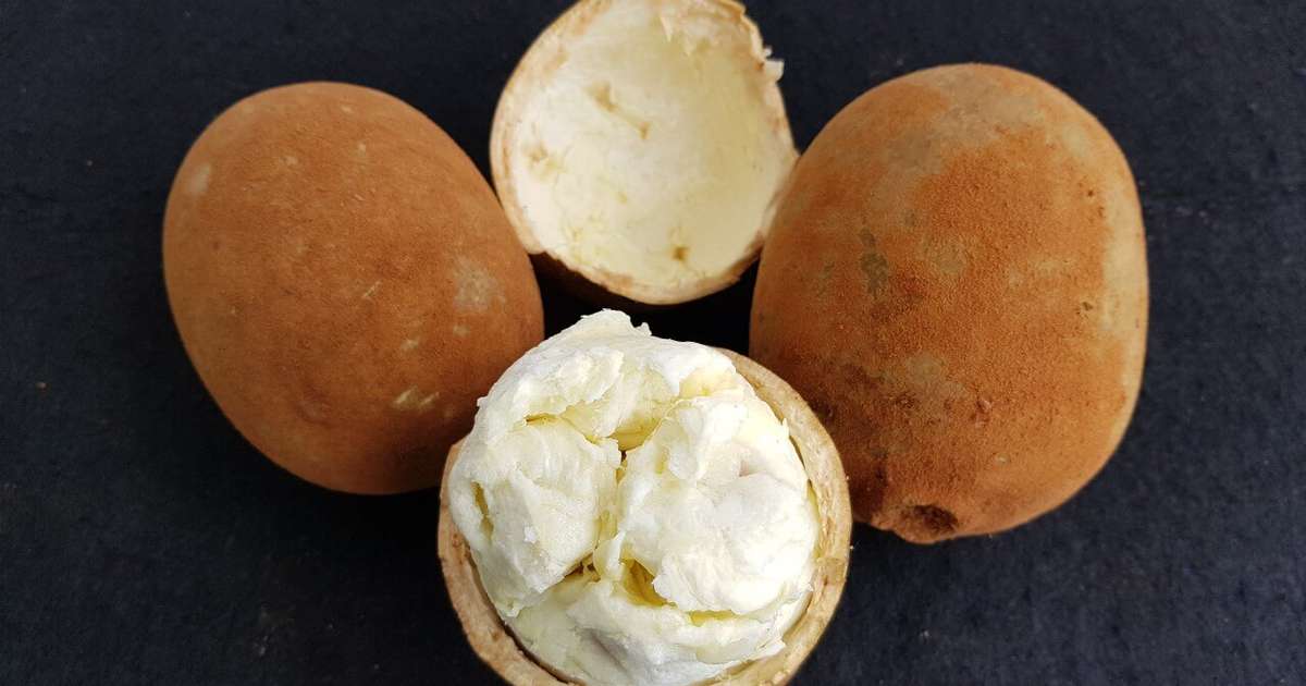 Cupuaçu: entenda os benefícios para quem treina