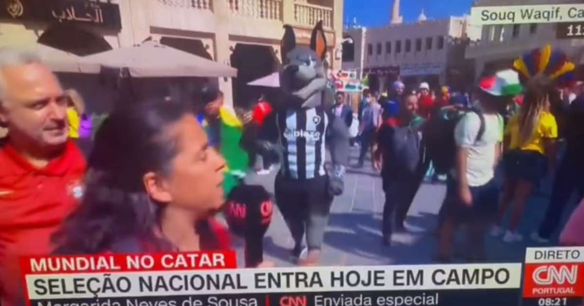 Mascote do Botafogo dá susto em jornalista durante entrevista no Qatar