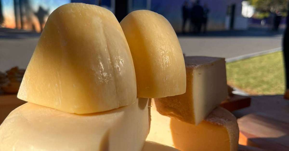 Queijo artesanal mineiro busca reconhecimento da Unesco como patrimônio ...