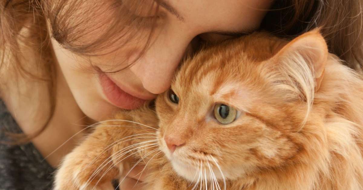 Gatos têm signo? Entenda o jeito do seu 'bichano' a partir da Astrologia